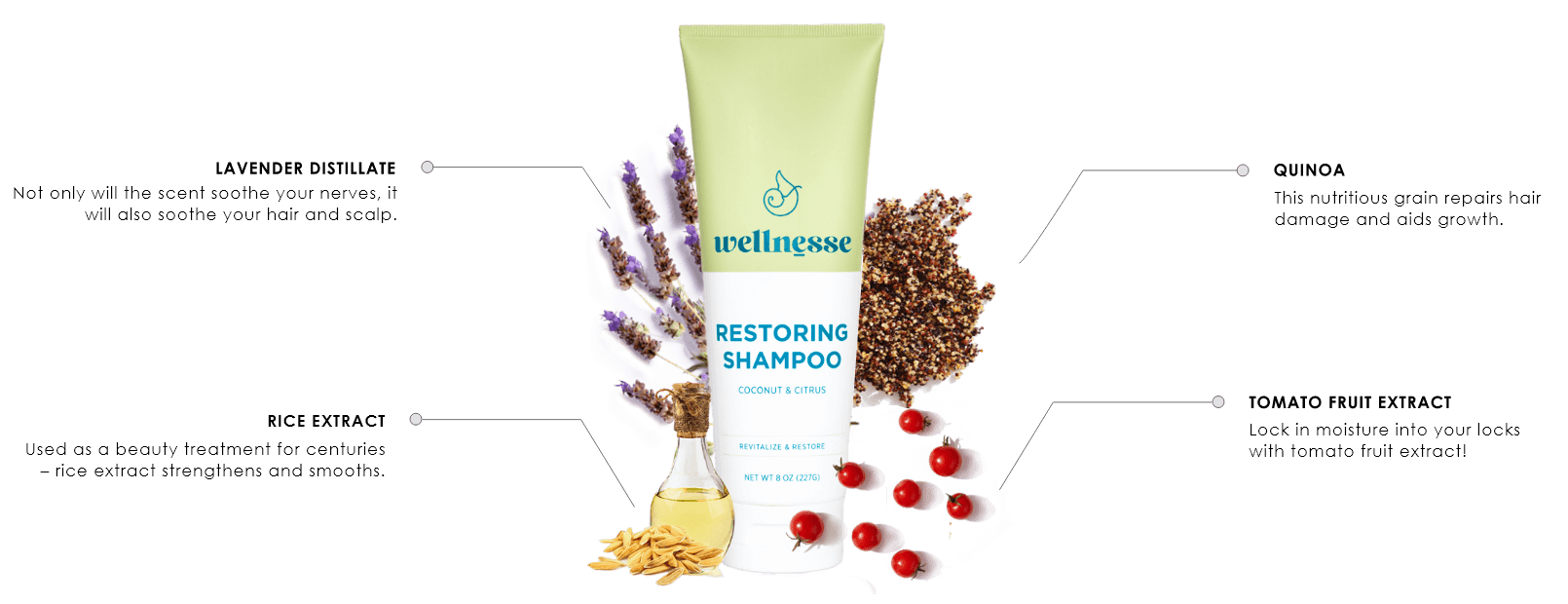 Restoring Shampoo | Wellnesse